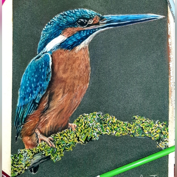 Art | Custom Commissioned Art Work Example Of Work Not Forsale | Poshmark